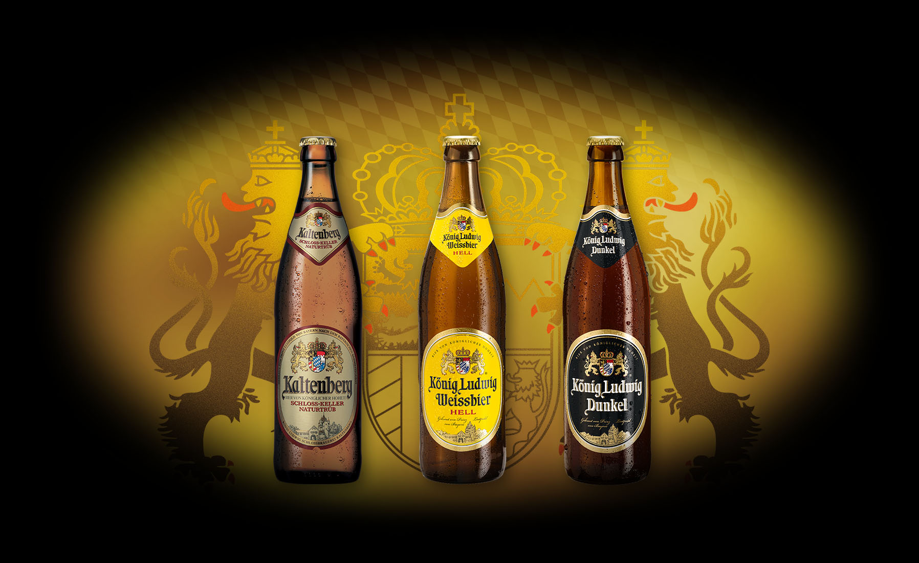 Welcome - Beer Knights' Quest